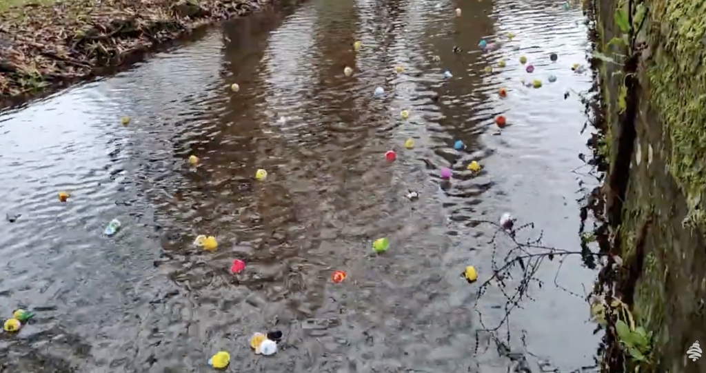Quacky Races 2025 - Race 2 - Radio Christmas